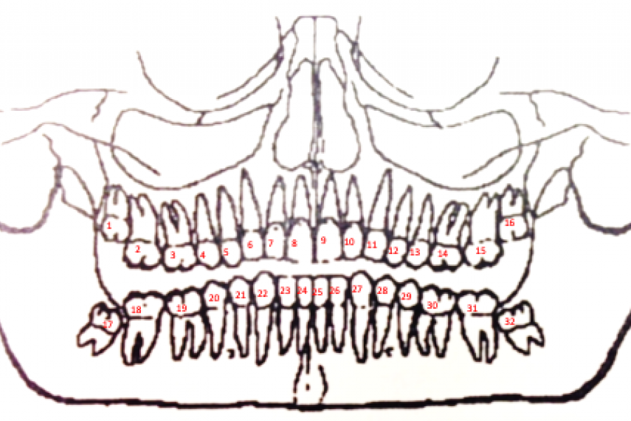 Referral form | Dr. Gerald Niznick College of Dentistry | University of ...