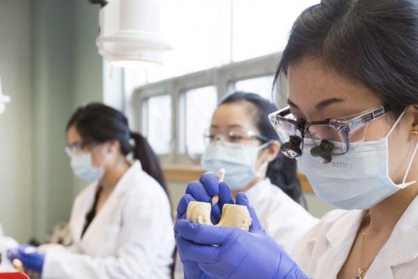 Dentistry (BSc) | Explore UM | University of Manitoba