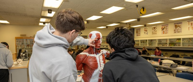 Programs of study | Faculty of Kinesiology and Recreation Management ...