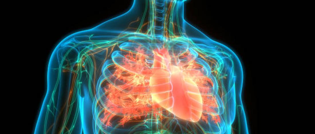 Department of Physiology & Pathophysiology | Max Rady College of ...