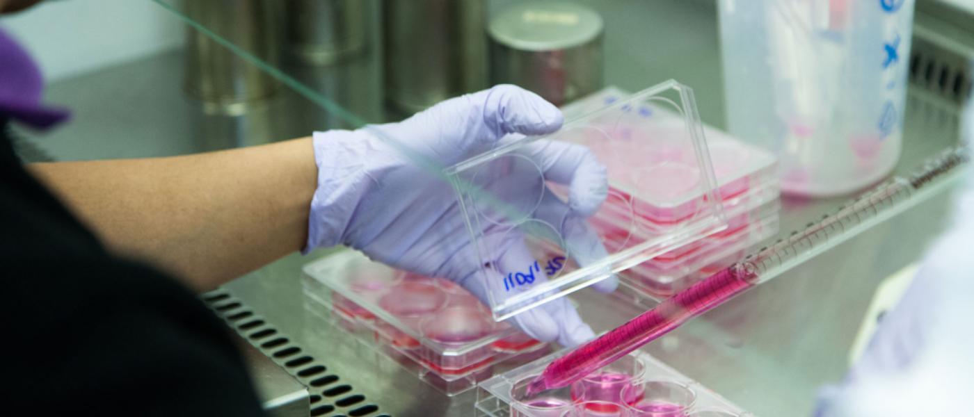 Microbiology | Faculty of Science | University of Manitoba